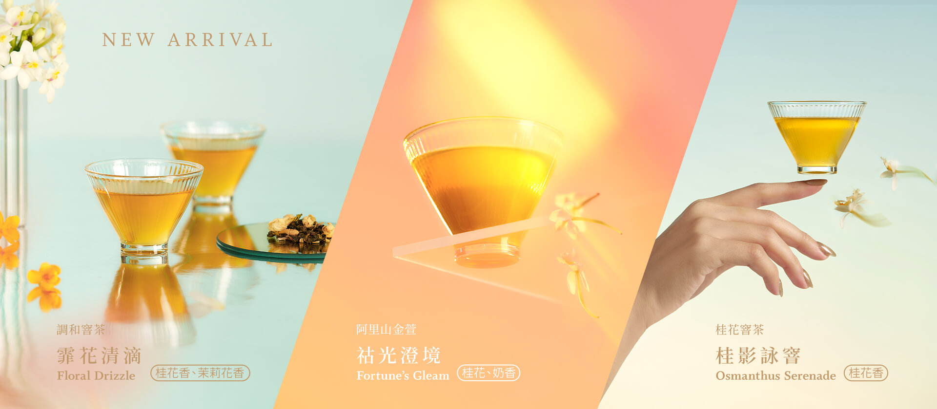 羽曦堂Yoo Shee Tea® | 官方線上商城