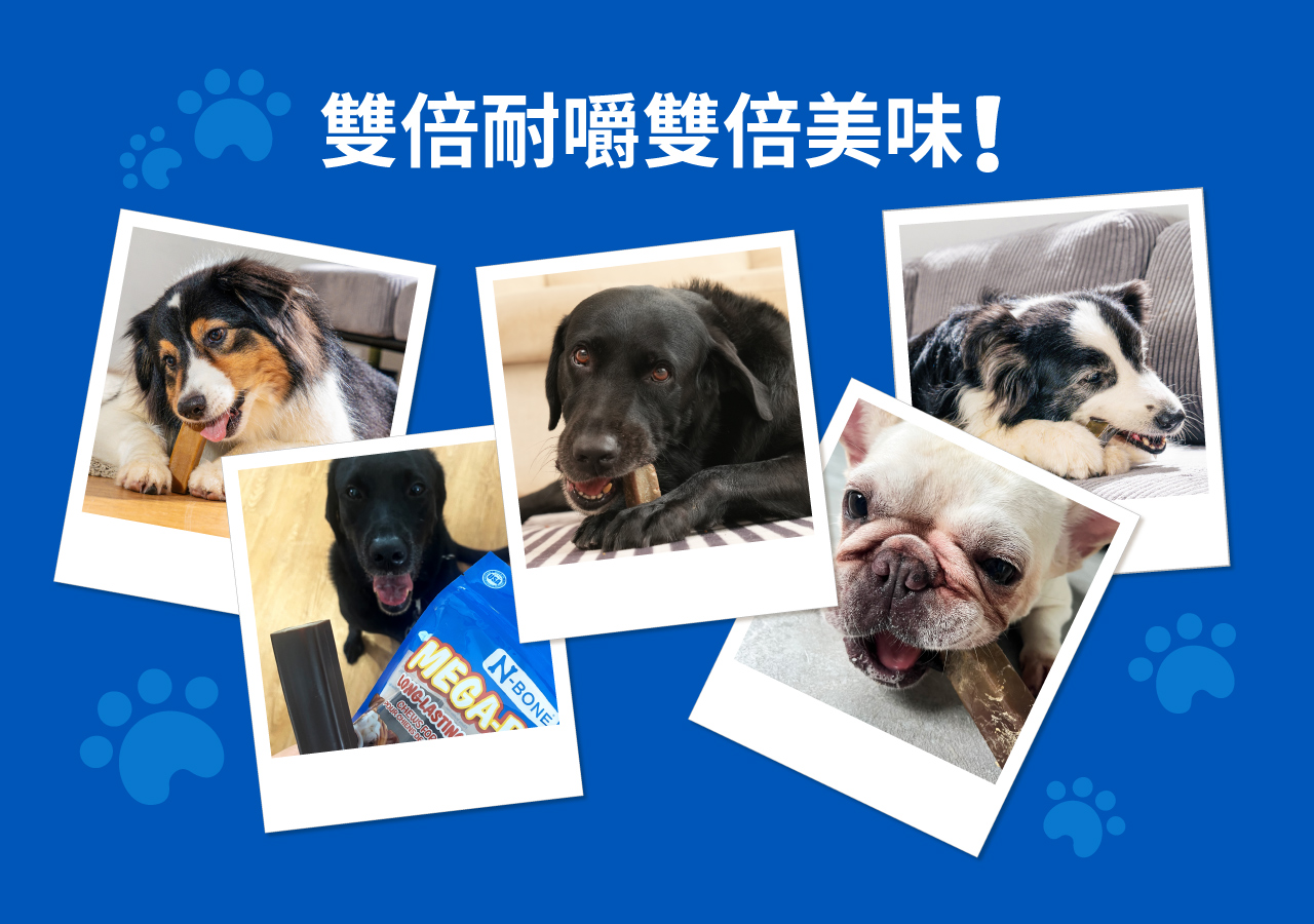 MEGA-BONE 長嚼棒｜純天然長效耐咬潔牙骨｜美國USDA實測耐咬 28 分鐘